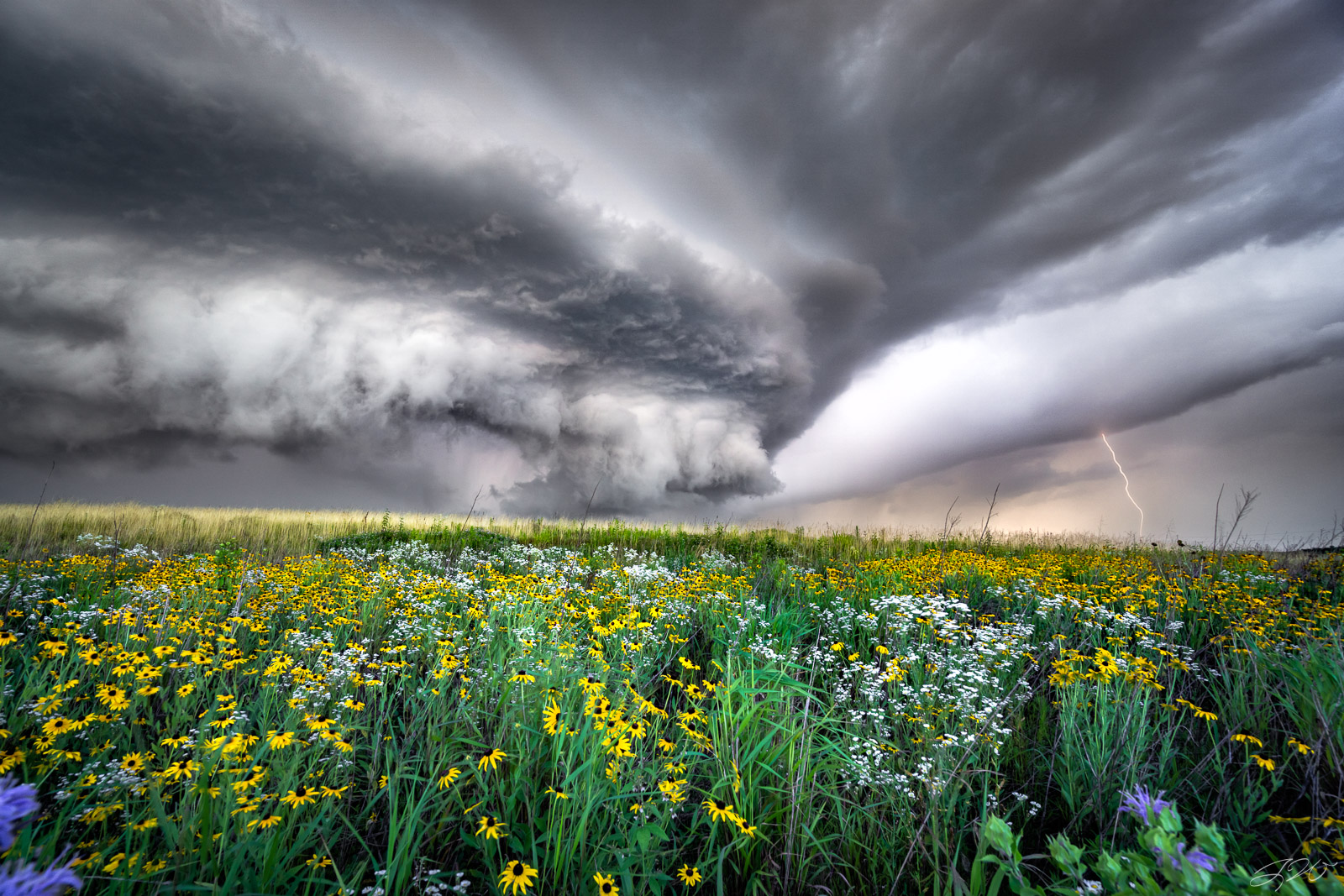 Twisted | United States of America | Jared Weber Photography